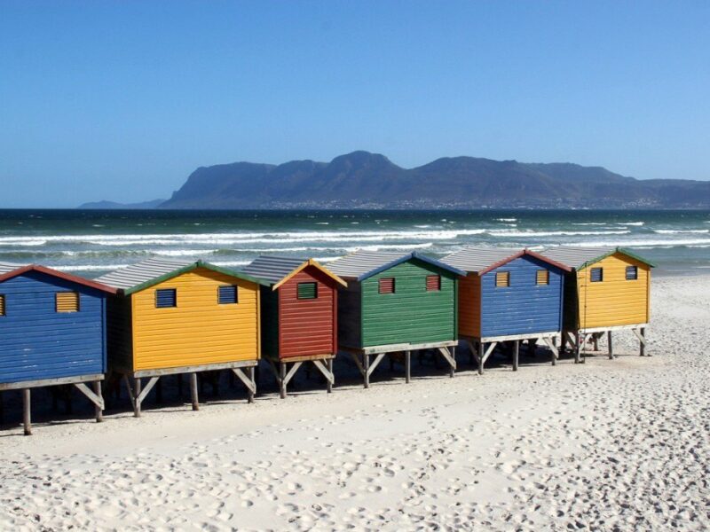 Sandfliegen: Wie schützt man sich vorbeugend und was hilft schnell ...