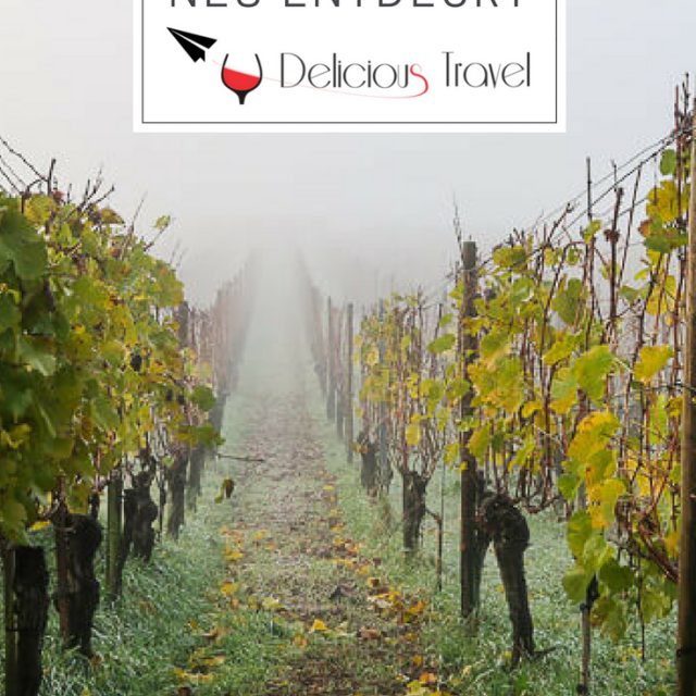 Badischer Wein: Eine Reise zum Burgunder im Breisgau & am Kaiserstuhl ...