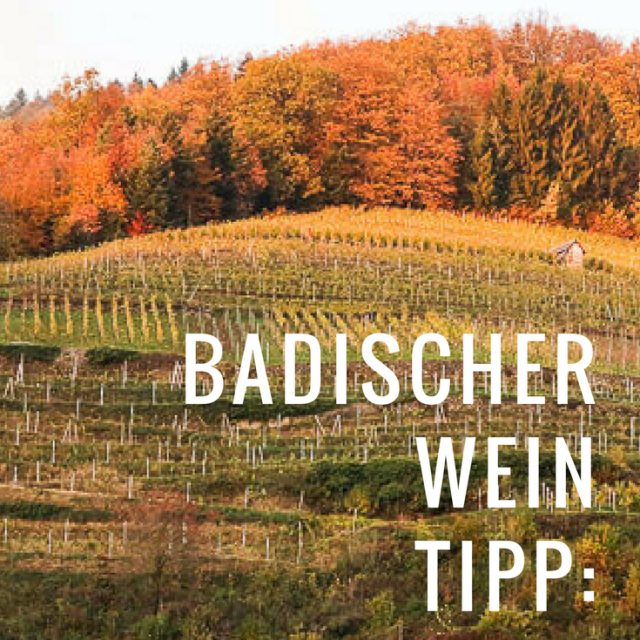 Badischer Wein: Eine Reise zum Burgunder im Breisgau & am Kaiserstuhl ...