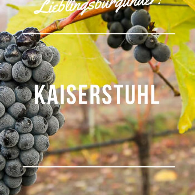 Badischer Wein: Eine Reise zum Burgunder im Breisgau & am Kaiserstuhl ...