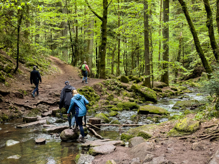 Monbachtal: Die wildromantische Schlucht im Nordschwarzwald » Delicious ...