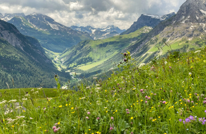 Delicious Travel – Reiseblog für Deutschland, Baden-Württemberg und den ...