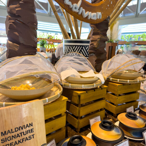 Reiseblog-Magazin » Delicious Travel